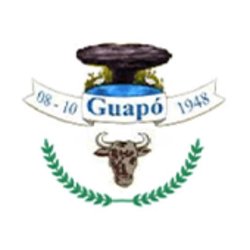 Edital 001/2025 - Processo Seletivo Simplificado - Prefeitura de Guapó Edital 001/2025 - Processo Seletivo Simplificado - Prefeitura de Guapó